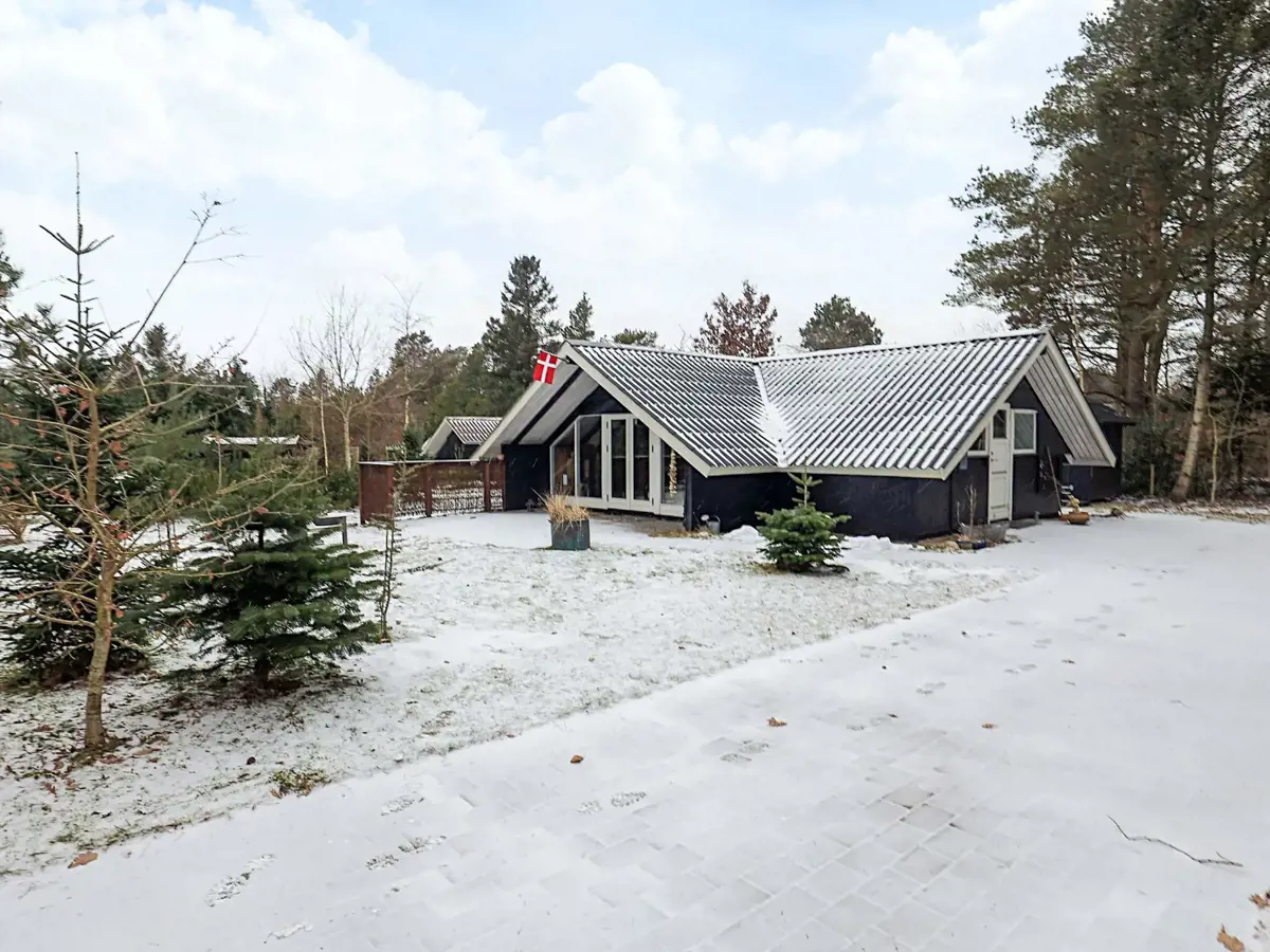 Ferienhaus 63987 in Bøgevej 17, Kollerup