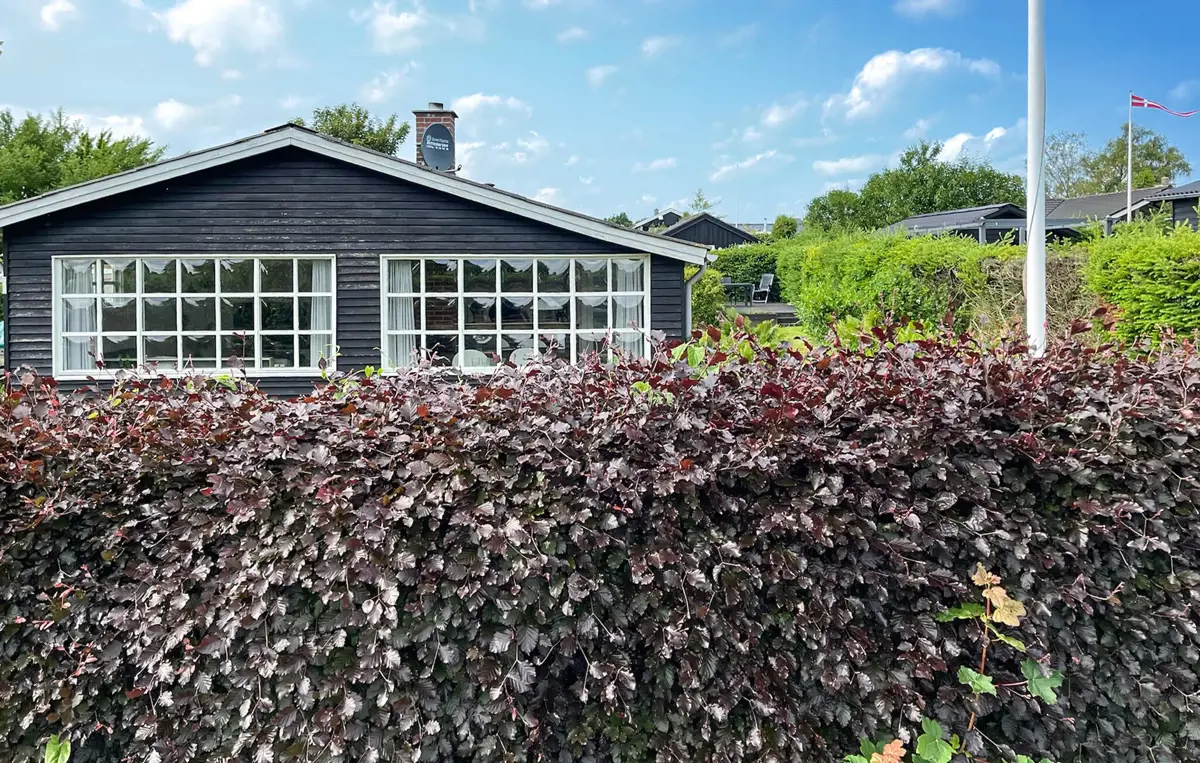 Ferienhaus F04201 in Mindevej 1, Hejlsminde